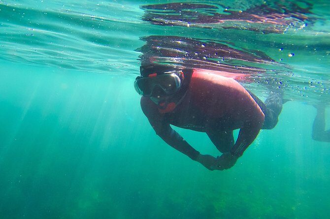 Snorkeling - Marine Park Discovery - FAQs