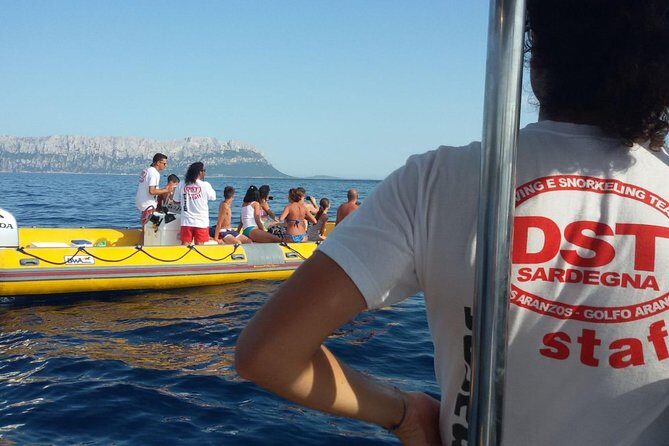 Snorkeling marine protected area Tavolara - Why This Tour Works Well