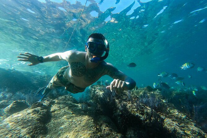 Snorkeling On Chilean Beach Transportation And Drinks Included - Who Should Book This Tour?