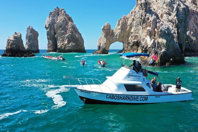 Snorkeling or Swimming with Sharks in Cabo San Lucas - The Final Verdict: Is It Worth It?