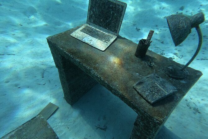 Snorkeling picnic in 4h30 with lunch in Tahiti - Who Will Love This Experience?