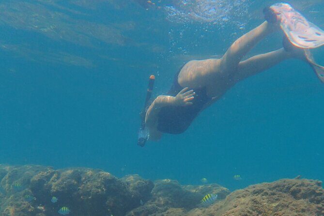 Snorkeling San Carlos with a Marine Biologist - The Full Experience: What to Expect