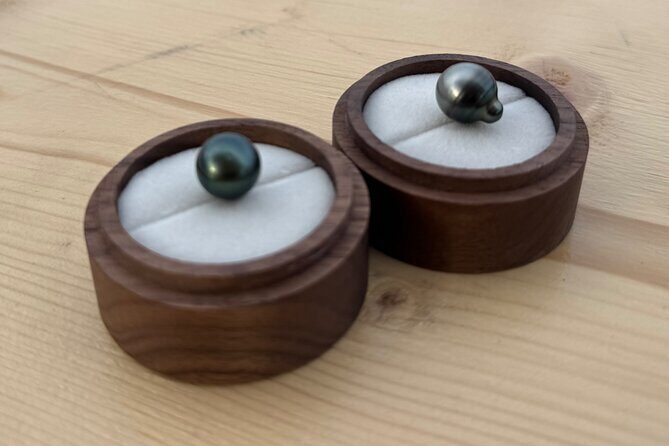 Snorkeling Shark Ray and Discovery DE the Black Pearl in Bora Bora - Who Will Love This Tour?