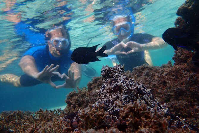 Snorkeling Tour - Who Should Consider This Tour?