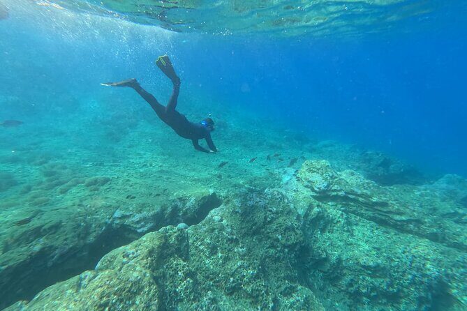 Snorkeling Tour Ilhéu from Vila Franca do Campo - An Introduction to This Unique Snorkeling Adventure