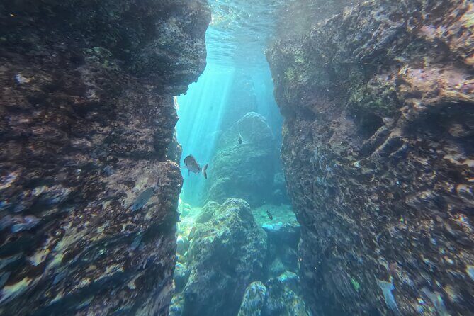 Snorkeling Tour Ilhéu from Vila Franca do Campo - Final Thoughts: The Value of Authentic, Small-Group Snorkeling