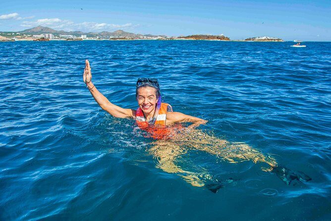Snorkeling tour in Cabo San Lucas - The Sum Up