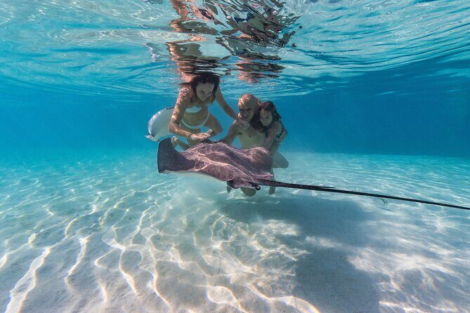 Snorkeling Tour in Moorea Aquatic Adventure Half Day - Discover Moorea’s Underwater Wonders on a Snorkeling Tour