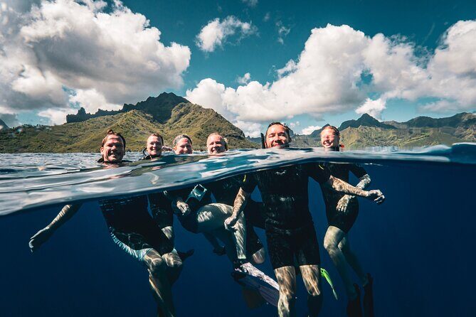 Snorkeling Tour in Moorea Aquatic Adventure Half Day - Key Points  