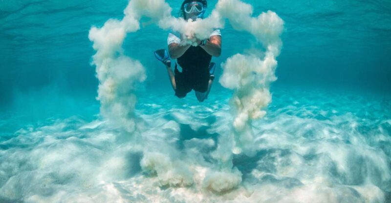 Snorkeling Trips in Amorgos - The Experience: What You Can Expect