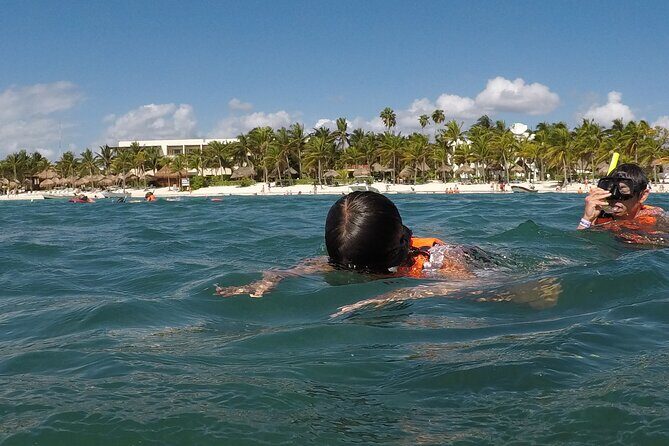 Snorkeling with Sea Turtles and Cenote Adventure - Authentic Insights from Past Participants