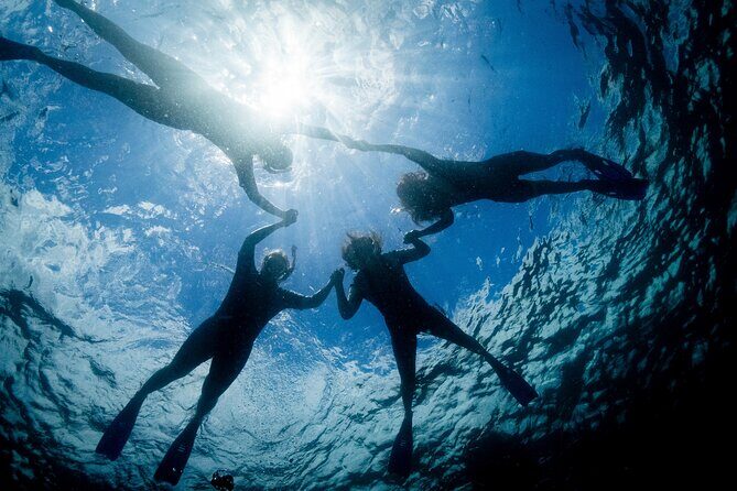Snorkeling with Turtles  Cook Island Marine Reserve - FAQ