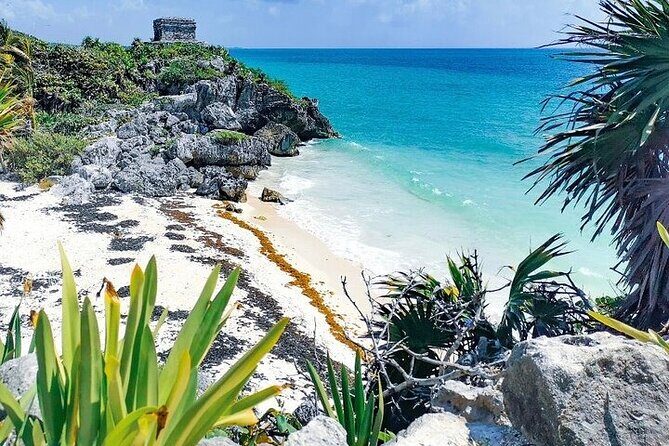 Snorkeling with Turtles Visit Mayan Ruins in Tulum from Cancun - Who This Tour Is Perfect For