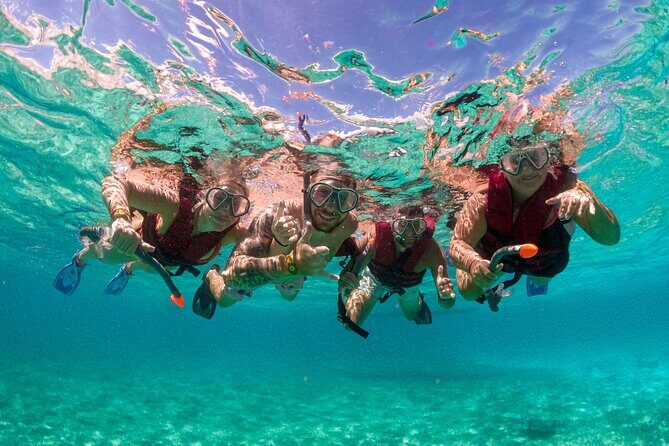 Snorkelling Experience - An In-Depth Look at the Snorkelling Experience in Sorrento