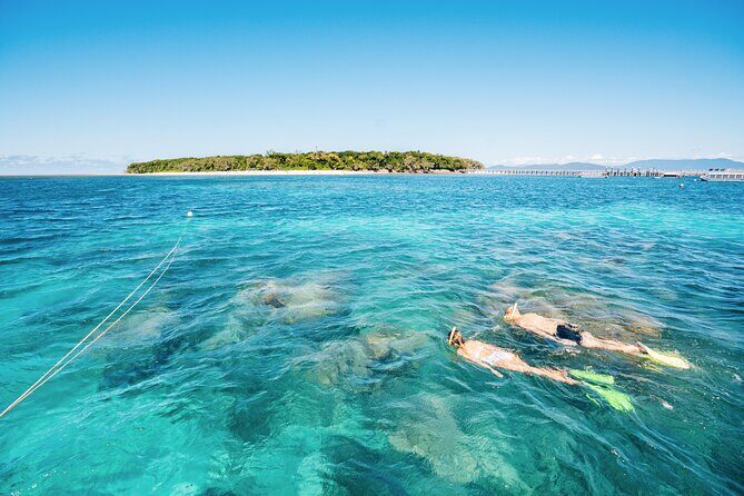 Snorkelling or Glass Bottom Boat at Green Island from Cairns - The Journey to Green Island: What to Expect