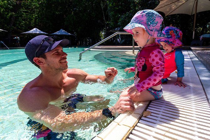 Snorkelling or Glass Bottom Boat at Green Island from Cairns - Highlights and Authentic Insights from Reviewers