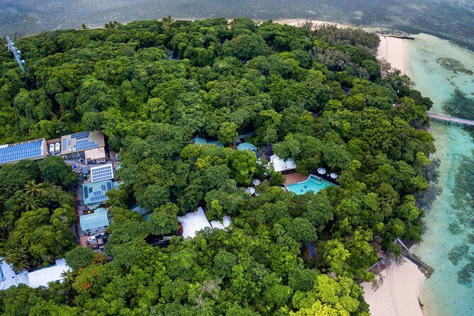 Snorkelling or Glass Bottom Boat at Green Island from Cairns - Who Should Consider This Tour?