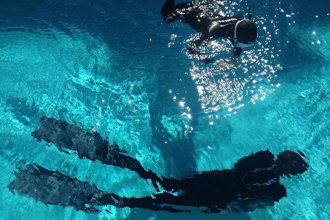 Snorkelling Trip at Ponta de São Lourenço Protected Area - Starting Point and Overall Logistics