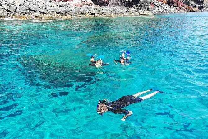Snorkelling Trip at Ponta de São Lourenço Protected Area - Additional Experiences and Insights