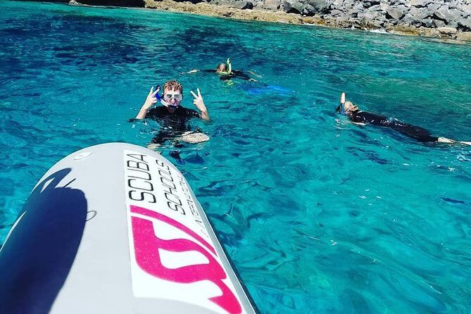 Snorkelling Trip at Ponta de São Lourenço Protected Area - Considerations and Tips