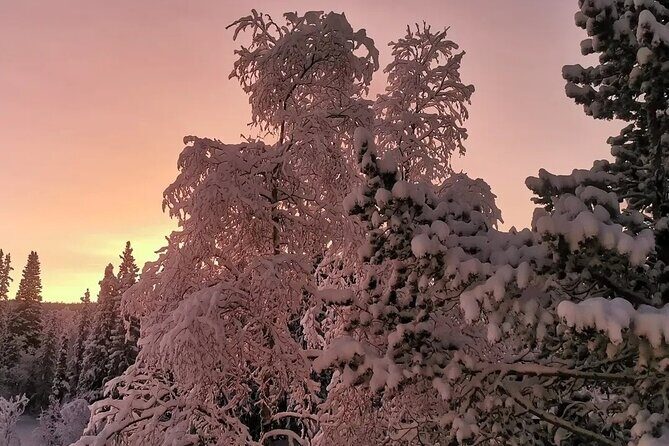 Snowmobile Adventure in Lapland: Guided Tour from Kiruna - What to Expect from the Snowmobile Tour