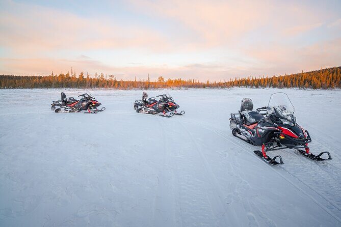 Snowmobile Adventure in Lapland: Guided Tour from Kiruna - Analyzing the Cost and Value