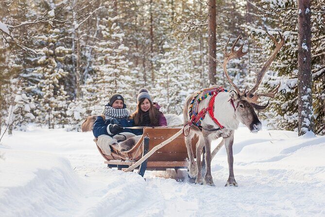 Snowmobile & Animals Day Tour - Real Traveler Experiences