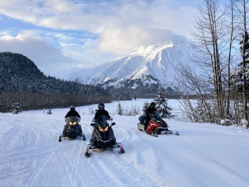 Snowmobile Classic Tour in Kenai Fjords National Park - Pricing and Value