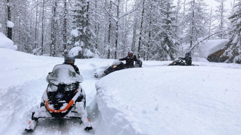 Snowmobile Classic Tour in Kenai Fjords National Park - Who Is This Tour Best For?