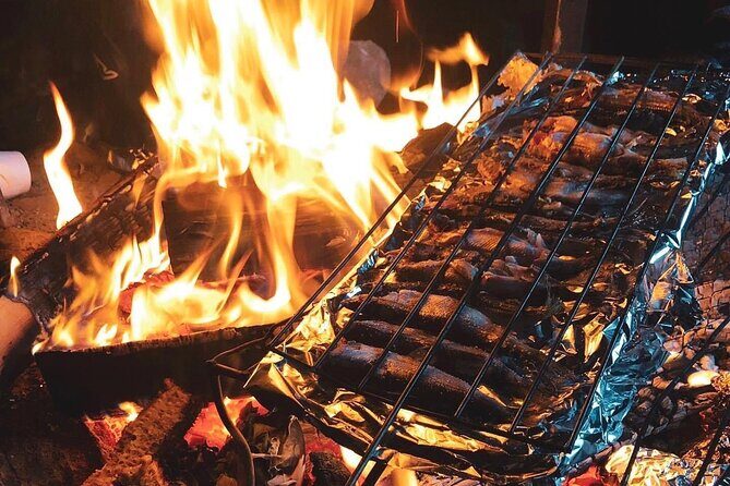 Snowmobile Photography Trip to the Aurora - Key Points