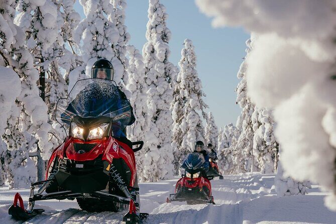 Snowmobile Safari into the Arctic Circle Forest - What Makes This Tour Stand Out