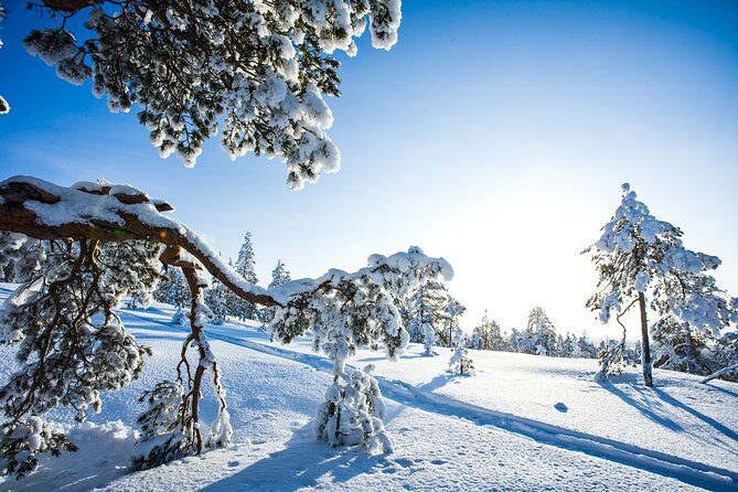 Snowmobile Safari on the Tundra - Who Should Consider This Tour?