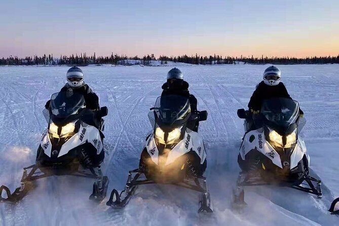 Snowmobile Tour - Who Should Consider This Tour?