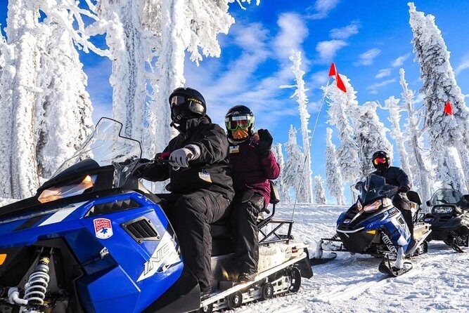 Snowmobiles, Sky Lift & Winter Sports - Private Tour - A Deep Dive into the Snowmobile & Winter Sports Experience