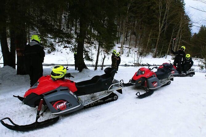 Snowmobiles, Sky Lift & Winter Sports - Private Tour - Frequently Asked Questions