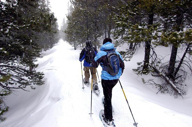 Snowshoe Adventure Frozen Falls and Firelight Tour - Practical Details and Value