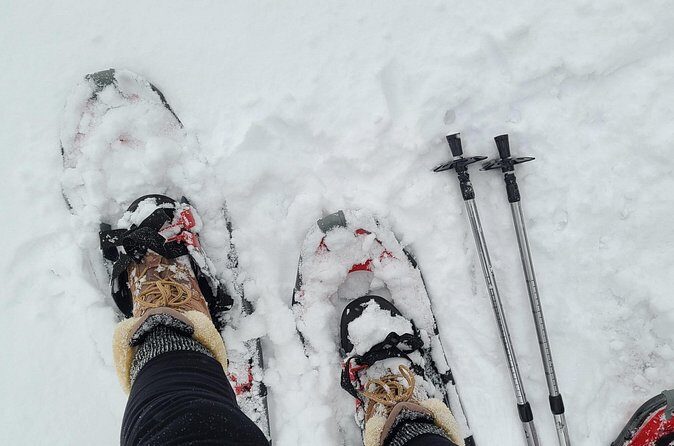 Snowshoe Adventure Frozen Falls and Firelight Tour - What Reviewers Say