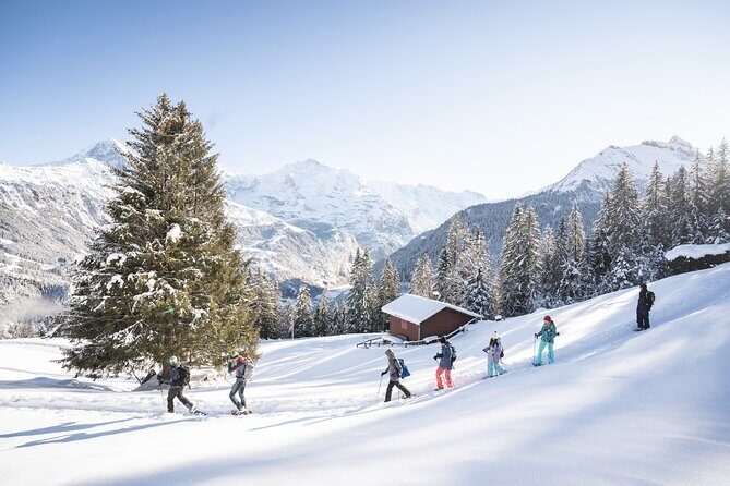 Snowshoe Adventure in the Swiss Alps - An In-Depth Look at the Snowshoeing Experience