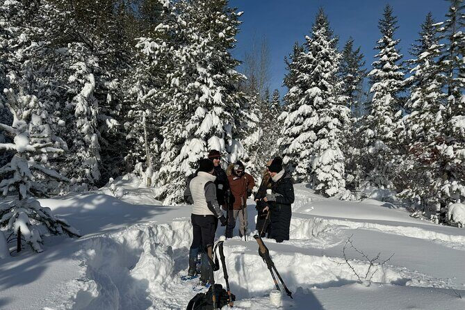 Snowshoe Day Tour In Glacier National Park - Final Thoughts