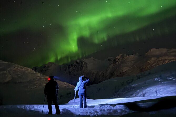 Snowshoe Expedition with Local Guides in Artic Terrain - Key Points
