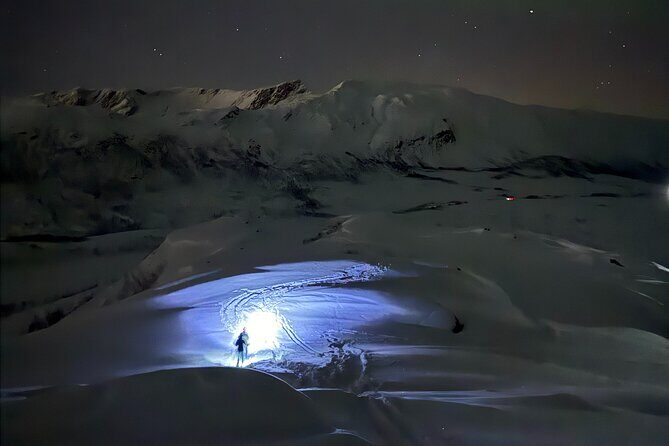 Snowshoe Expedition with Local Guides in Artic Terrain - Why This Tour Is Worth Considering