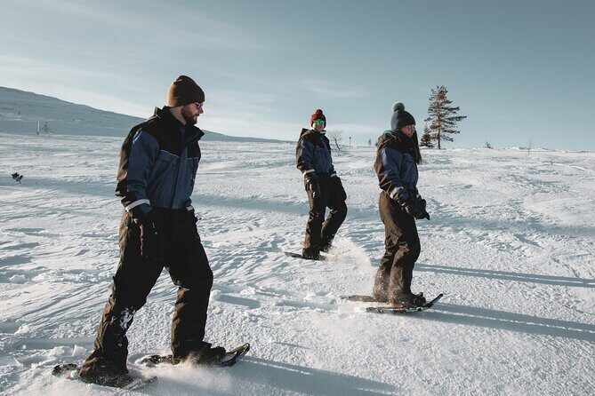 Snowshoe Fun - Key Points