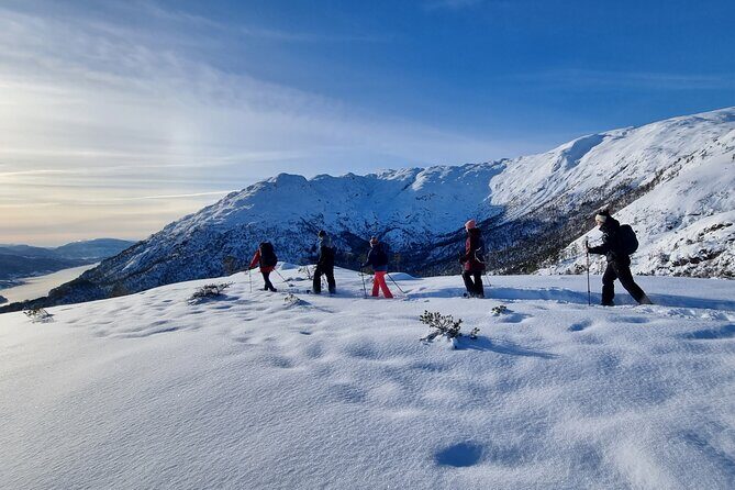 Snowshoe hiking in Bergen - Public tour - Key Points