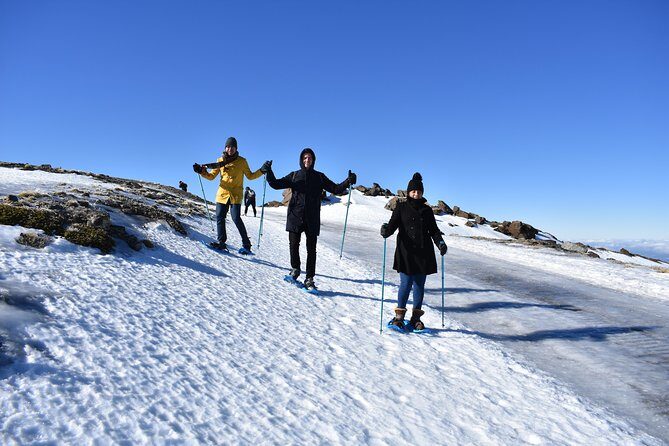 Snowshoe hiking in Sierra Nevada (Granada) - Authentic Reviews: What Travelers Say