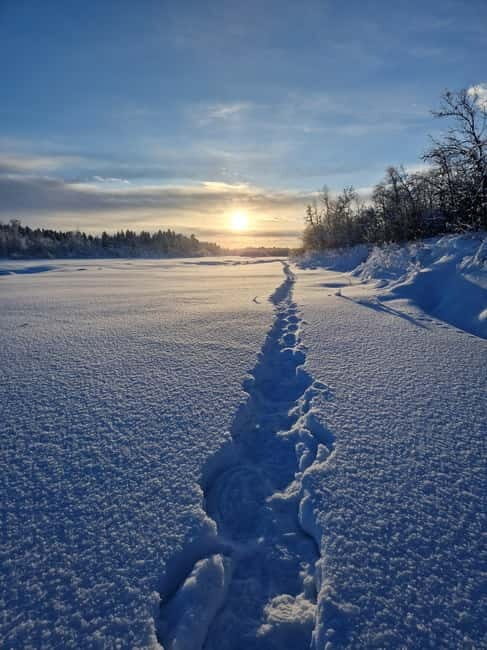 Snowshoe in a Winter Forest - An In-Depth Look at the Tour