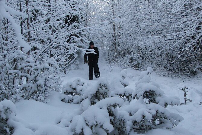 Snowshoe in a Winter Forest - The Value of This Arctic Snowshoe Experience  