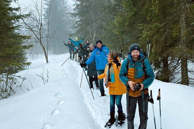 Snowshoe Tour in Winter Wonderland - Oslo - Exploring Oslo’s Winter Landscape: What You Can Expect