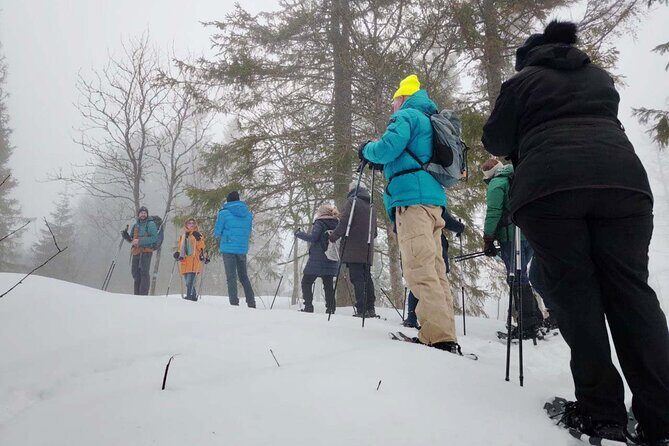 Snowshoe Tour in Winter Wonderland - Oslo - Pricing and Value