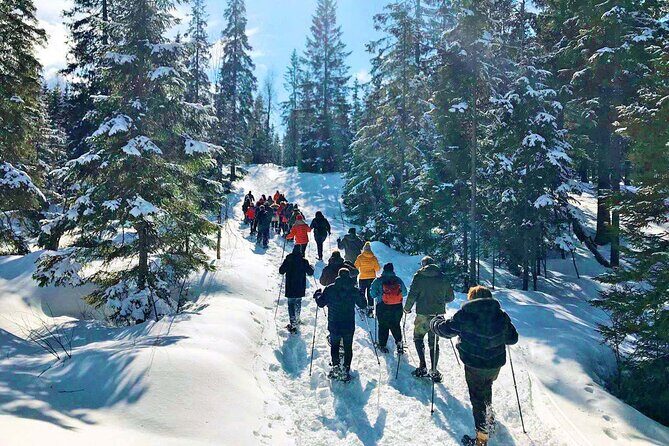 Snowshoe Tour in Winter Wonderland - Oslo - Practical Tips for Participants