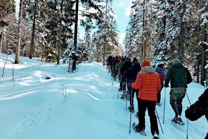 Snowshoe Tour in Winter Wonderland - Oslo - Why This Tour Works